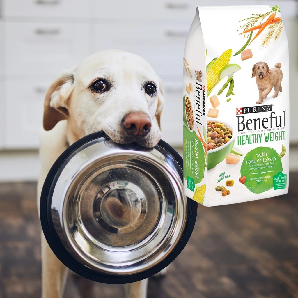 Beneful Dog Food – Official Website